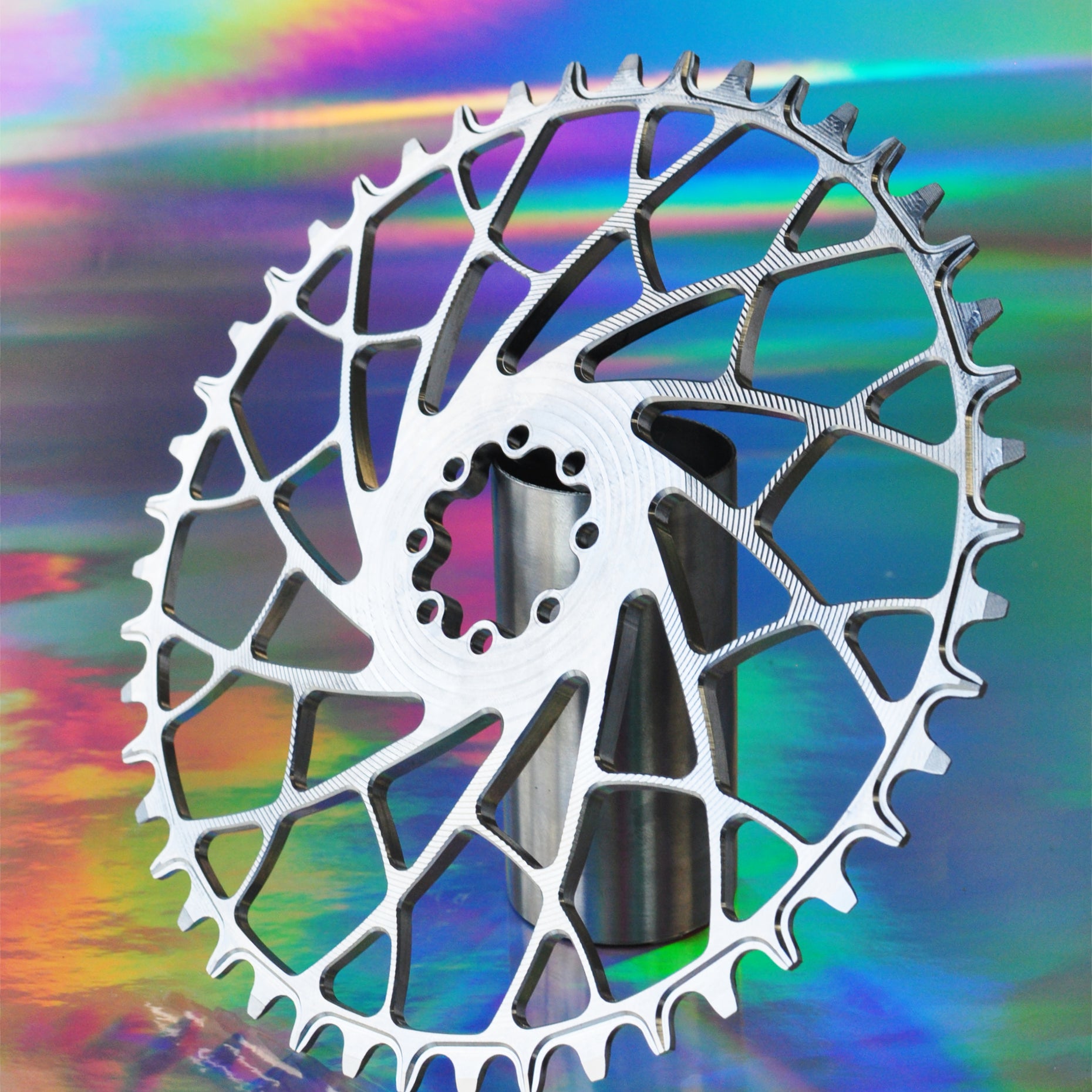 Titanium 1x chainring – Sturdy Cycles